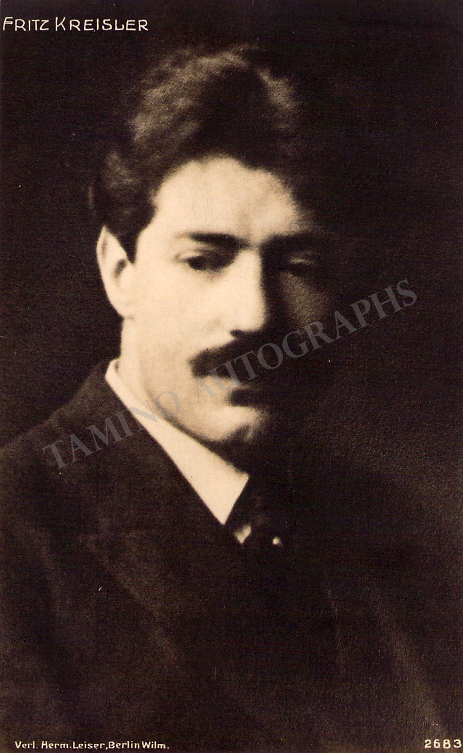 Violinists - Unsigned Photo Postcards – Tamino